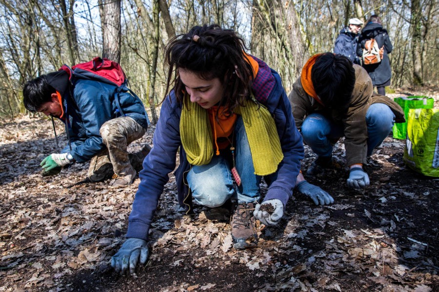 15 - Protection de la faune et flore terrestres - Objectifs de ...